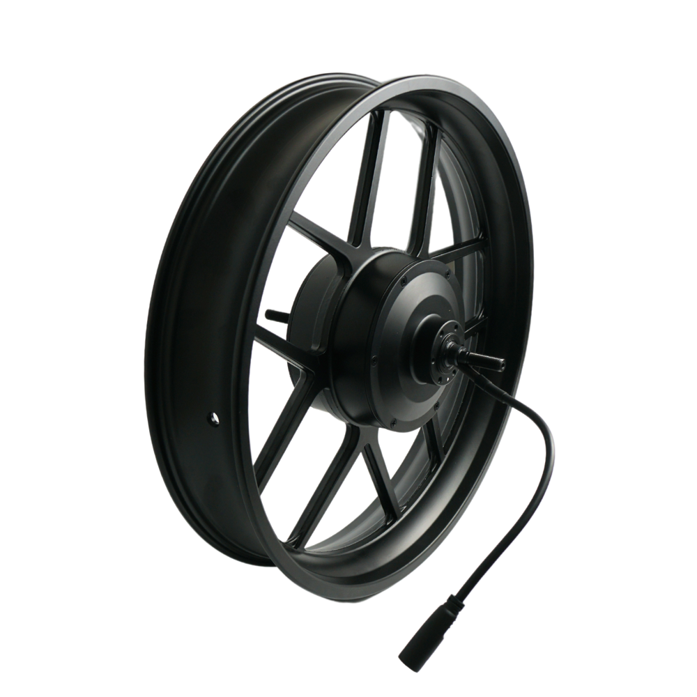 Fatfish OG Rear Wheel and Motor – Ride Electric